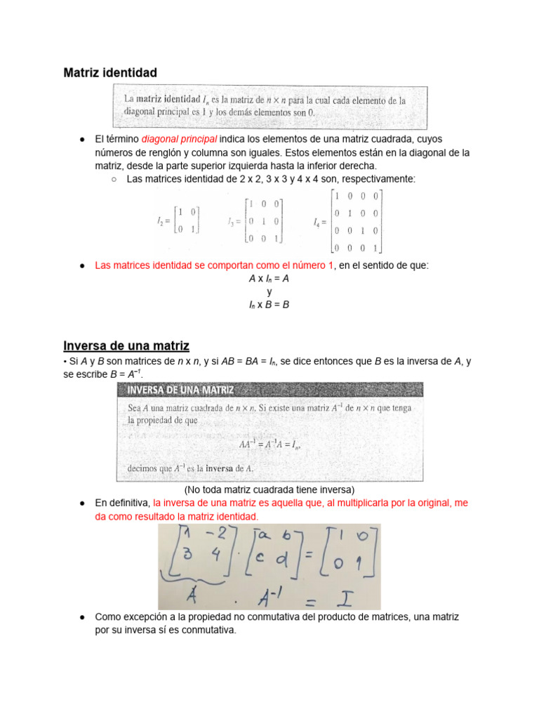 Inversa y Matriz Identidad en Matemáticas | PDF | Matriz (Matemáticas ...
