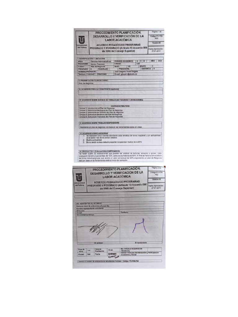 Ap Plan de Negocios | PDF