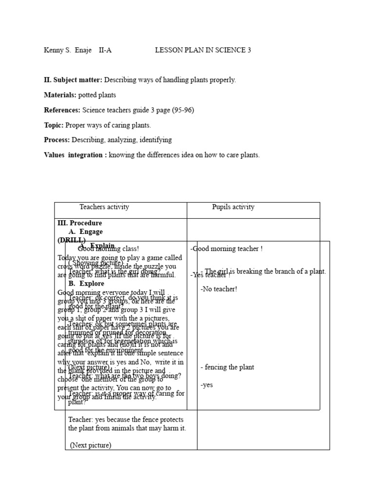 Lesson Plan in Science 3 Proper Way For Caring Plants | PDF | Lesson ...