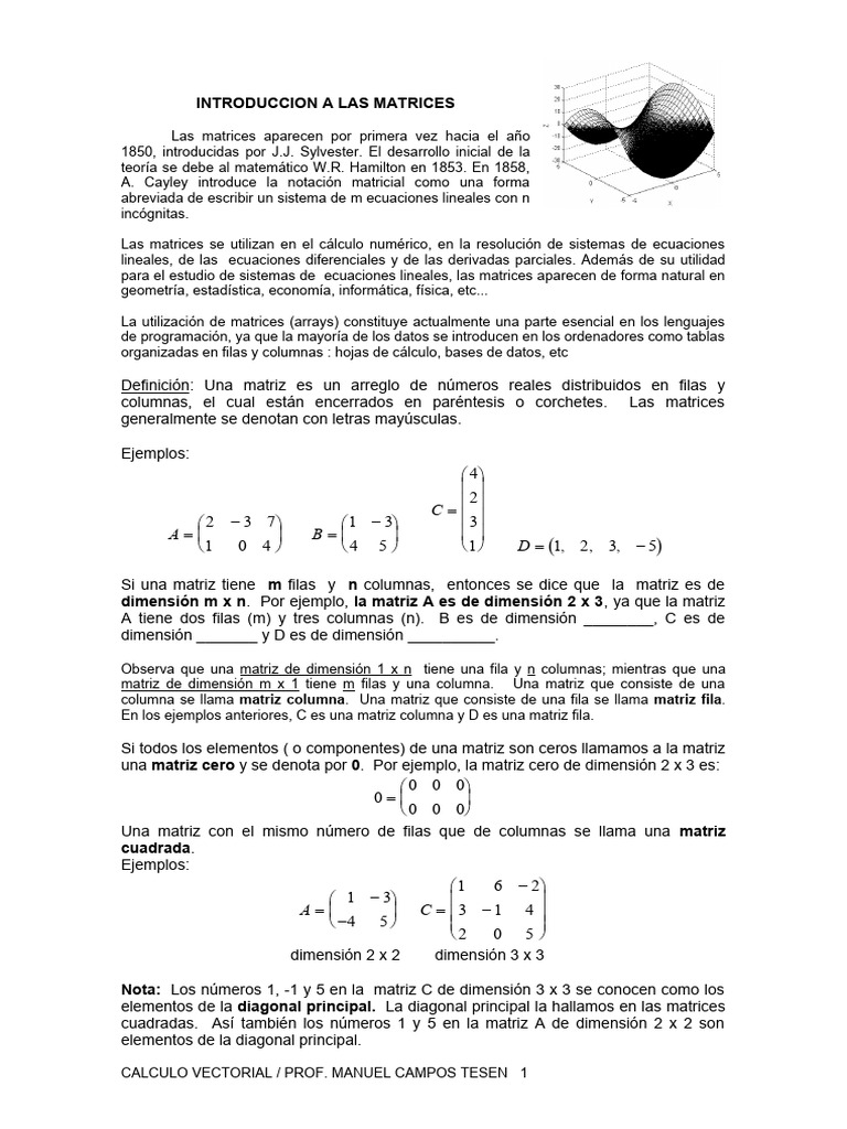 Introduccion A Las Matrices | PDF | Matriz (Matemáticas) | Ecuaciones