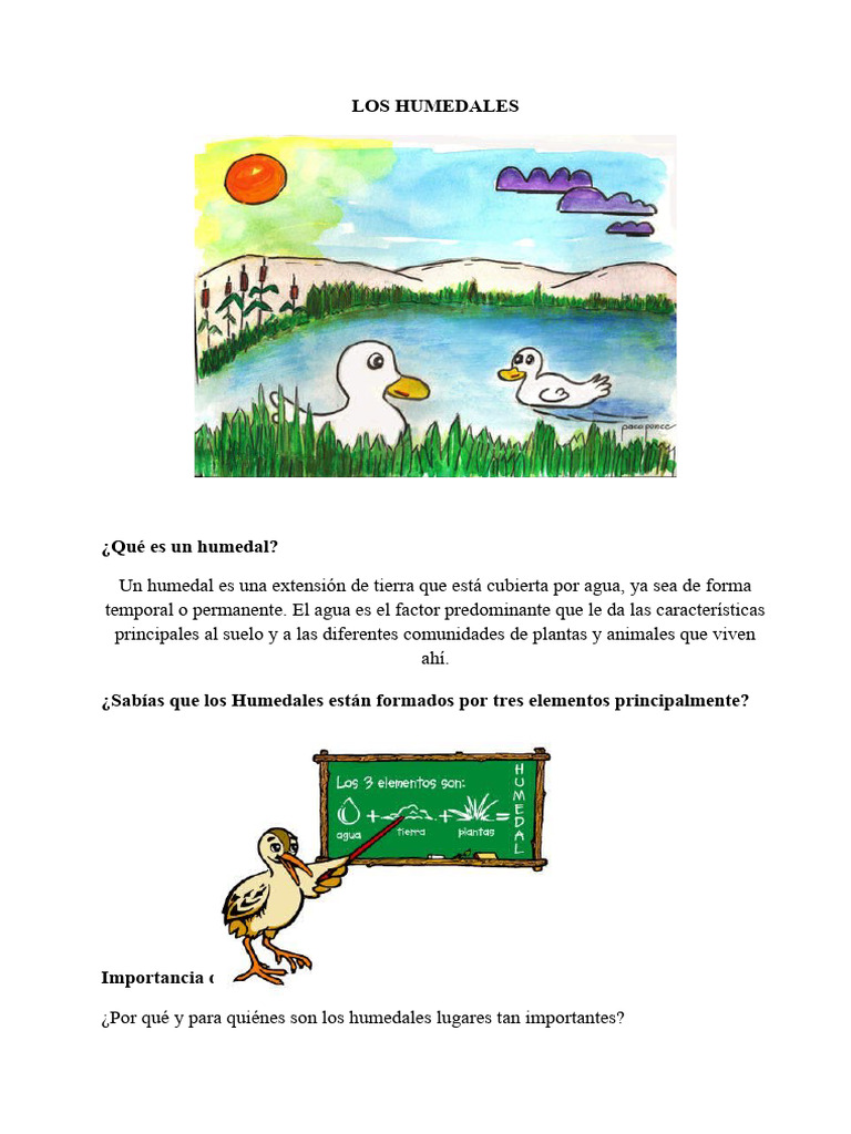Humedales: Ecosistemas para Niños | PDF | Humedal | Osos