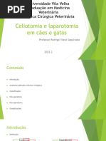 Protocolo para Peritoneostomia Clínica | PDF | Infecção | Epidemiologia