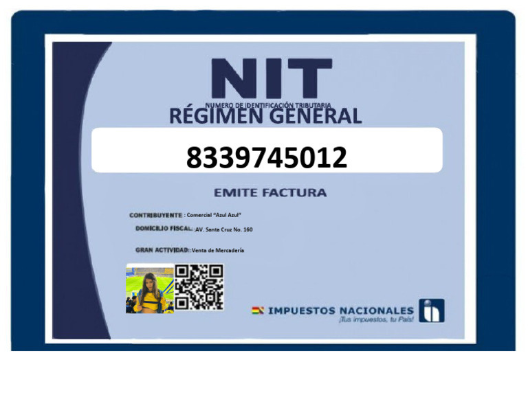 Planilla Nit Bolivia | PDF