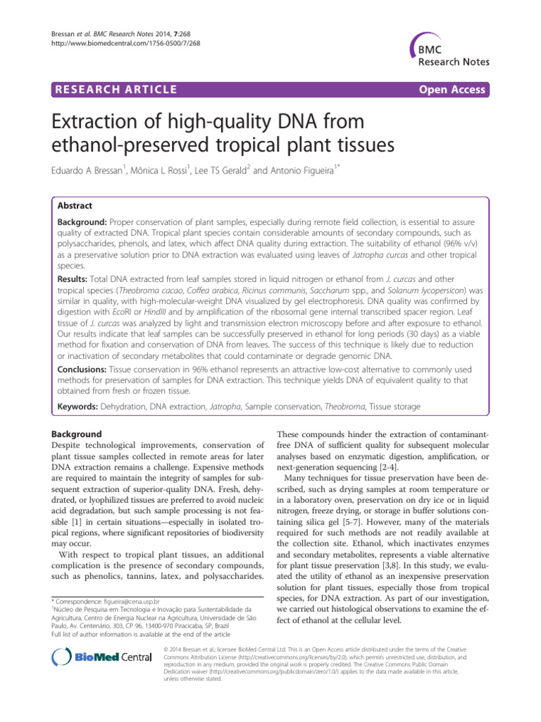 Etraccion de Adn de Planta 01 | PDF | Gel Electrophoresis | Polymerase Chain Reaction