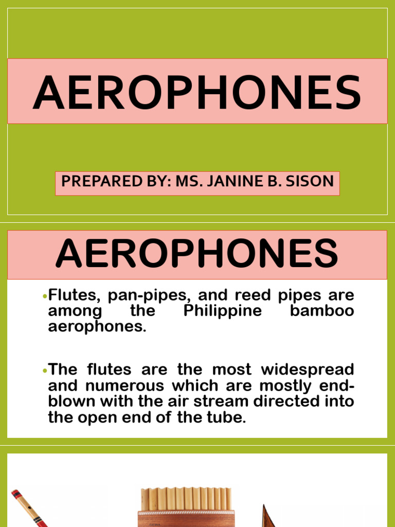 aerophones | PDF | Flute | Elementary Organology