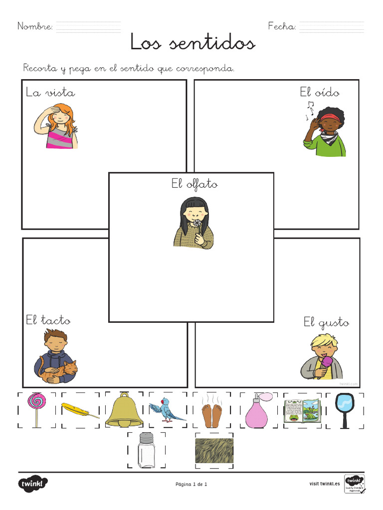 Actividades sobre los sentidos para niños | PDF