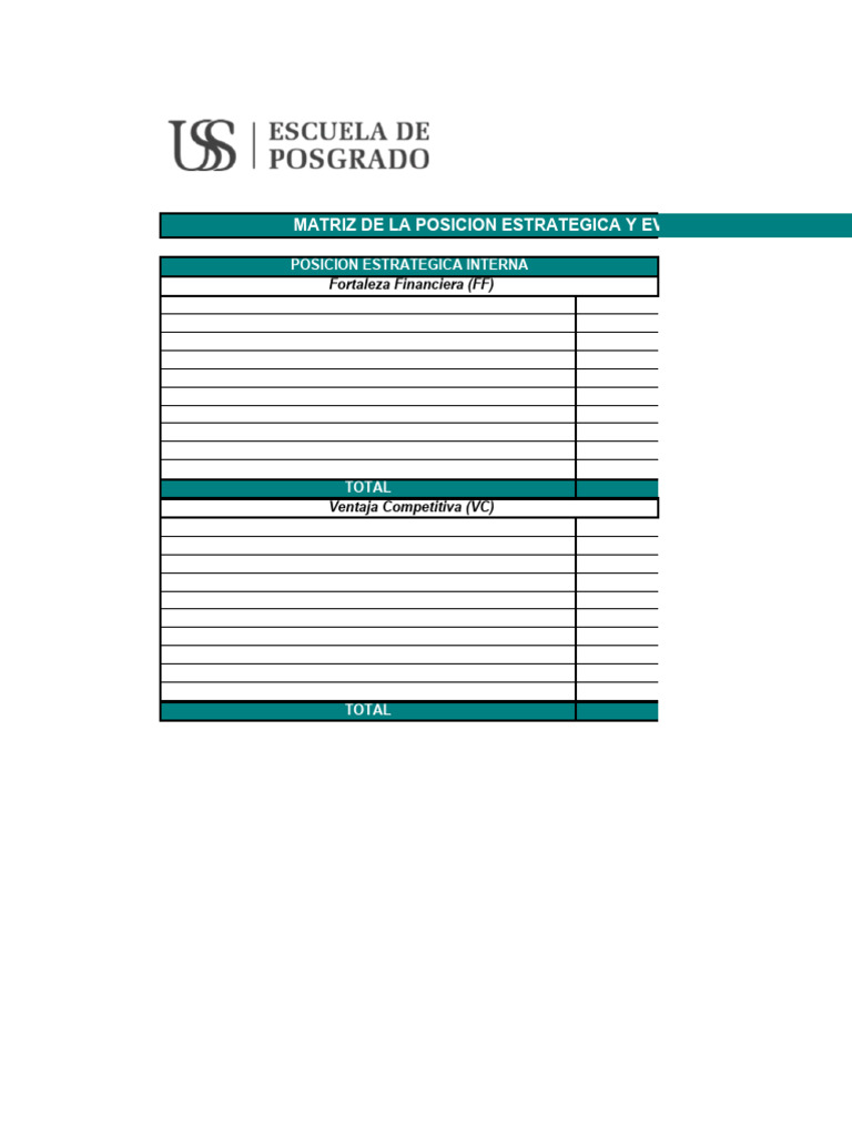 Plantilla Matriz PEYEA en Excel | PDF