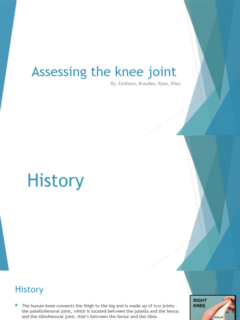 Assessing The Knee Joint | PDF | Knee | Musculoskeletal System