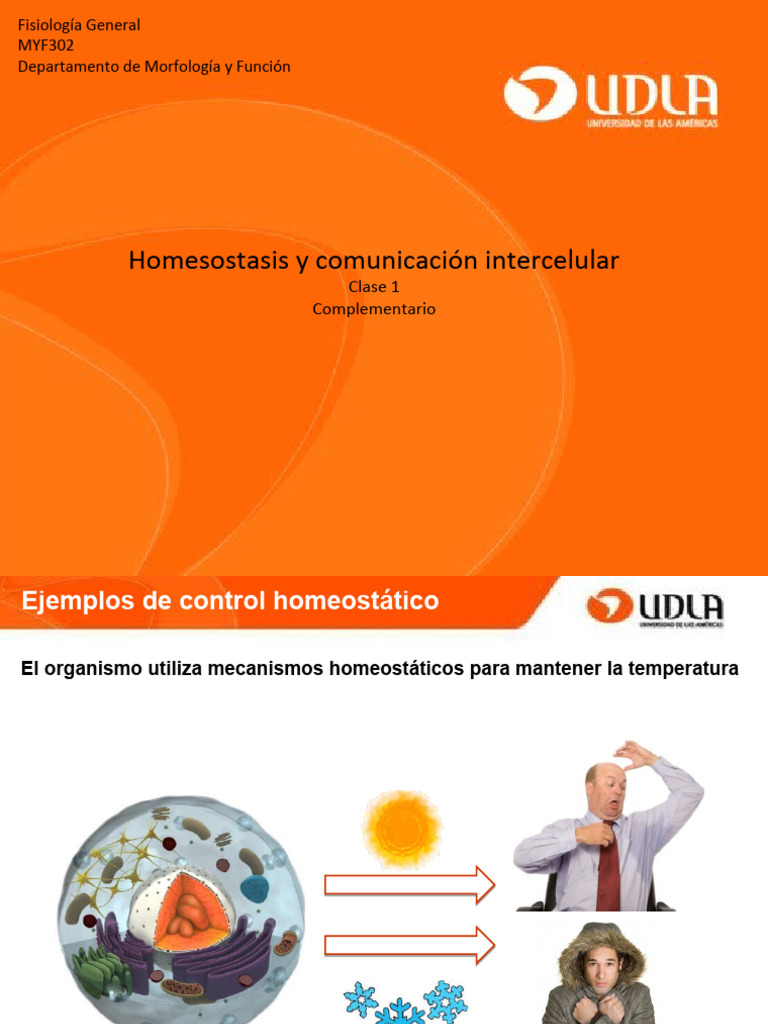 Homeostasis y Membrana Celular | PDF | Membrana celular | Homeostasis