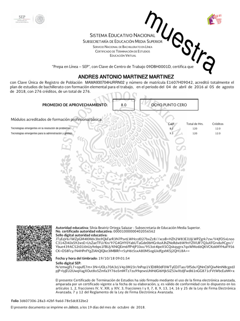 Muestra Prepa | PDF | Plan de estudios