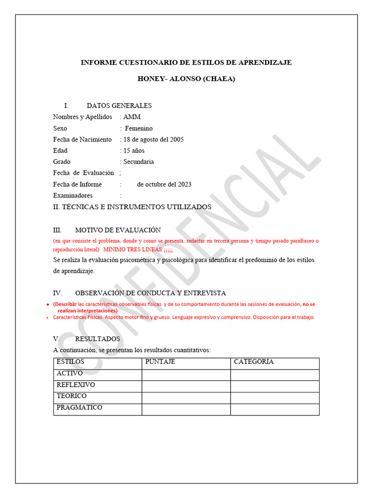 Modelos de Informe Estilos de Ap y Casm 85 | PDF | Evaluación | Aprendizaje