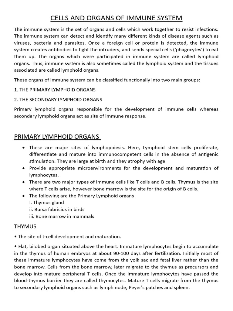 CELLS AND ORGANS OF IMMUNE SYSTEM | PDF | Lymphatic System | Lymph Node