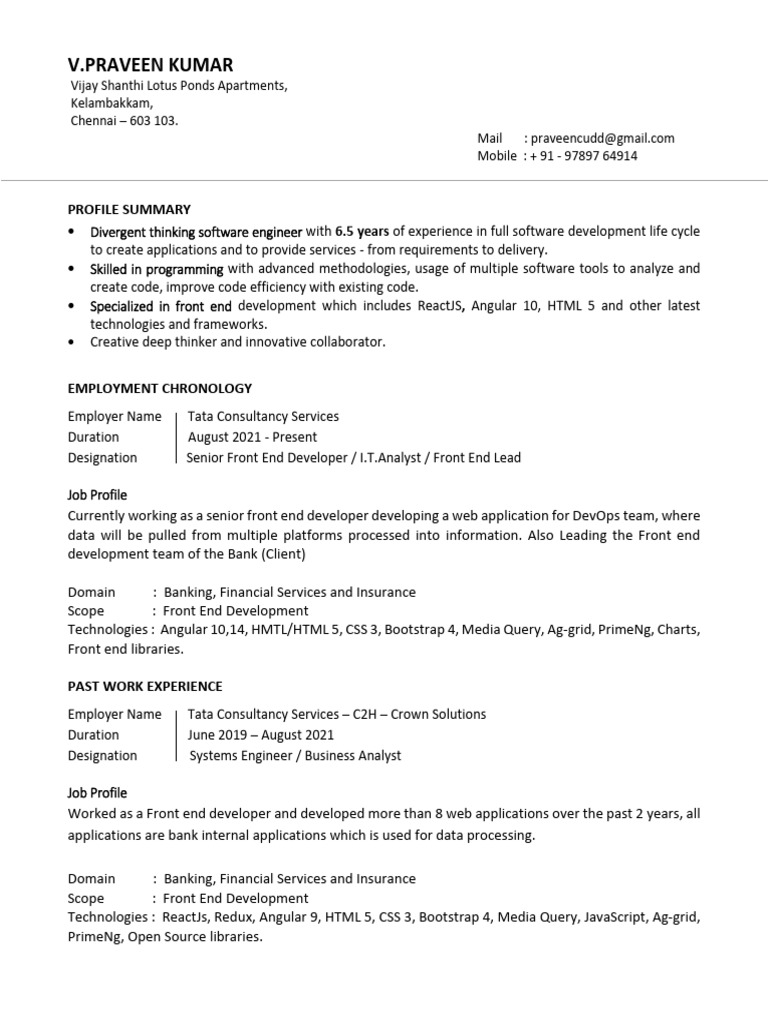 CV Sample | Download Free PDF | World Wide Web | Internet & Web