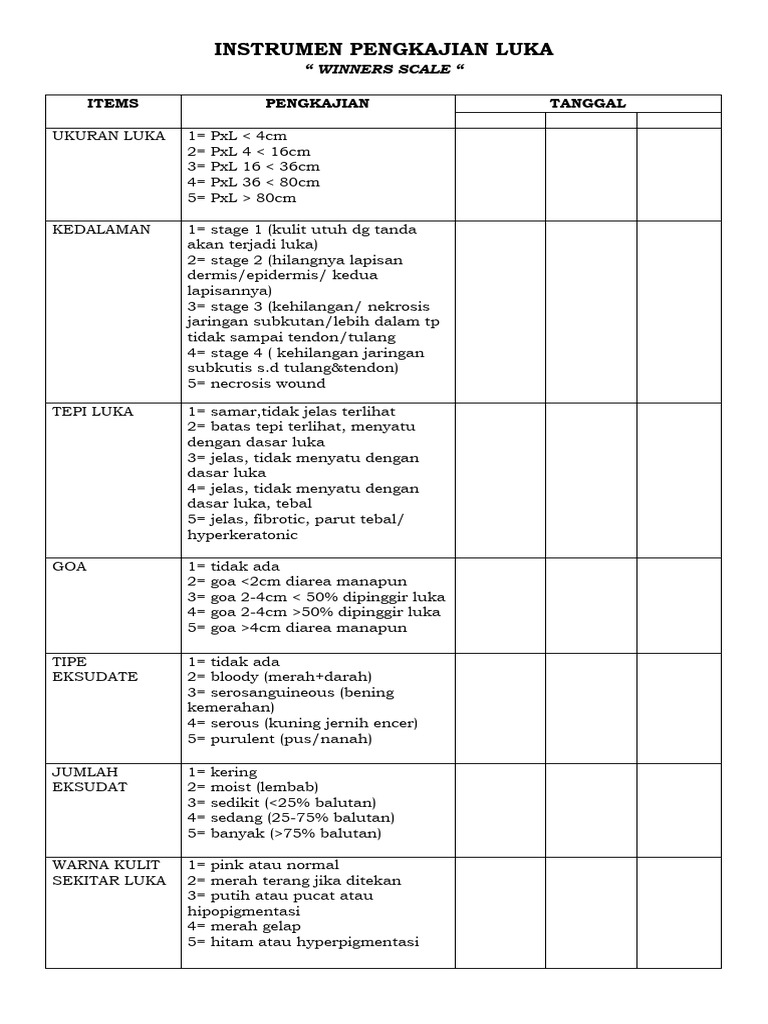 Instrumen Pengkajian Luka | PDF