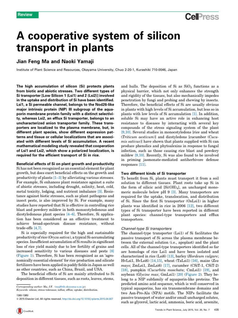 A Cooperative System of Silicon Transport in Plants | PDF | Rice | Silicon