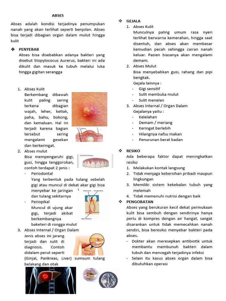 ABSES | PDF | Kajian Bahasa Asing | Kesehatan Holistik