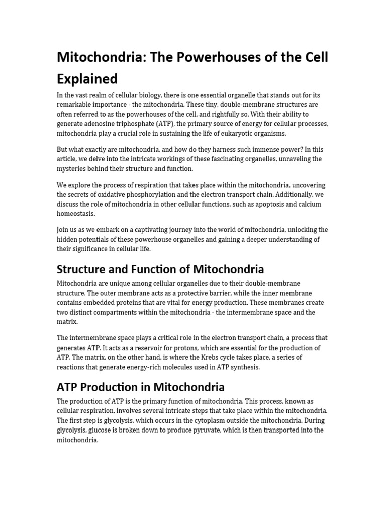 Mitochondria - The Powerhouses of The Cell Explained | PDF ...