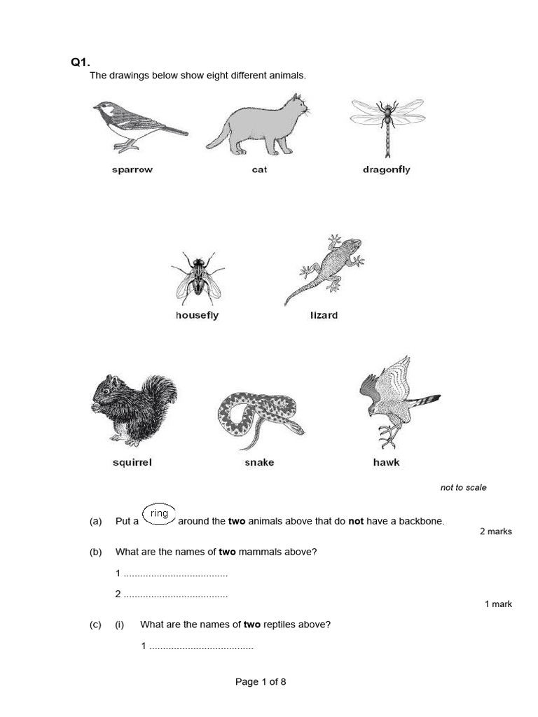 Classification Exam Style Questions | PDF | Zoology