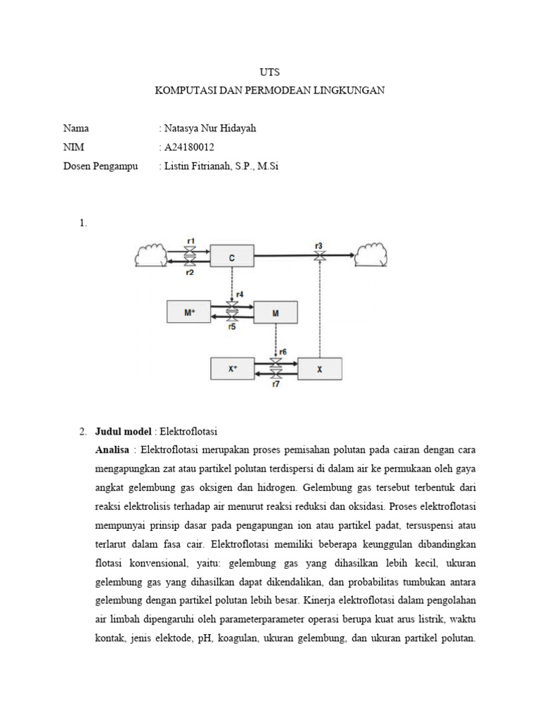 UTS - Komputasi Dan Permodelan Lingkungan | PDF | Sains & Matematika | Teknologi & Rekayasa