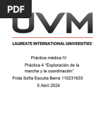 Marcha Steppage: Causas y Tratamiento | PDF | Electromiografia ...