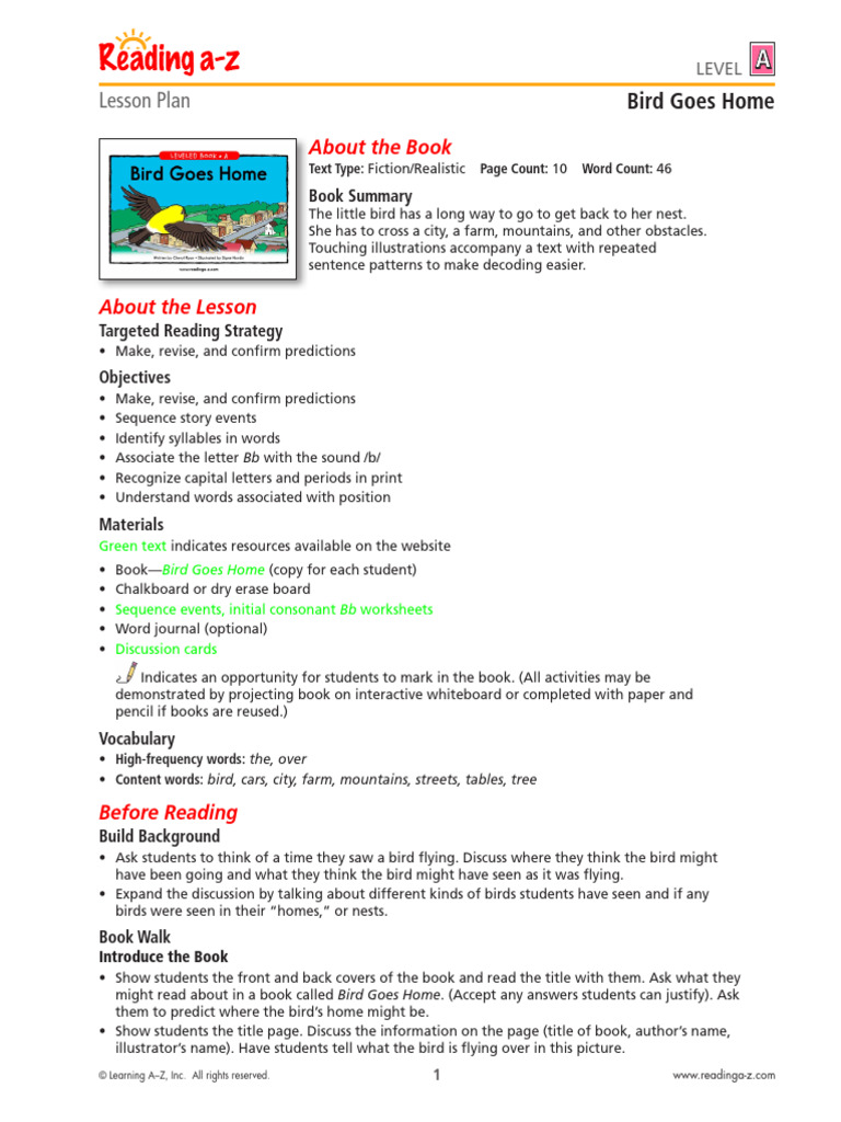 LESSON | PDF | Reading Comprehension | Cognition