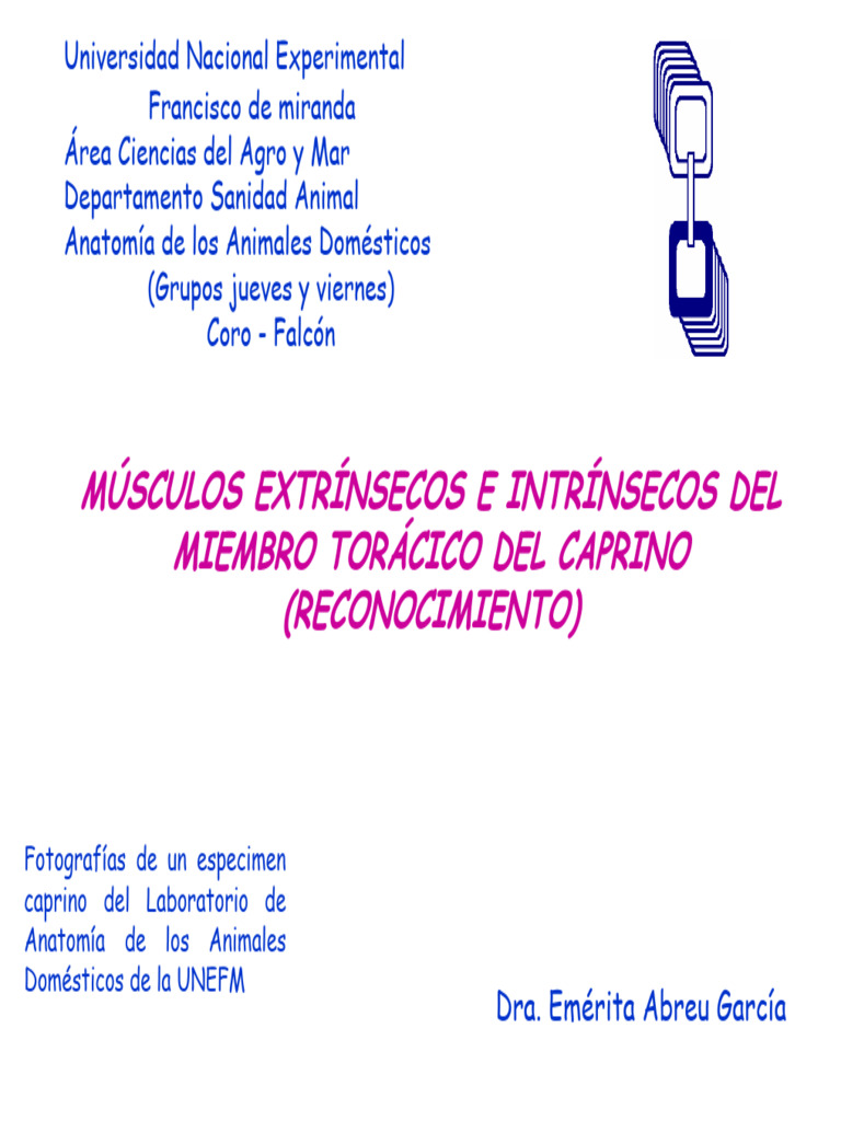 Músculos Extrínsecos E Intrínsecos Del Miembro Torácico Del Caprino ...