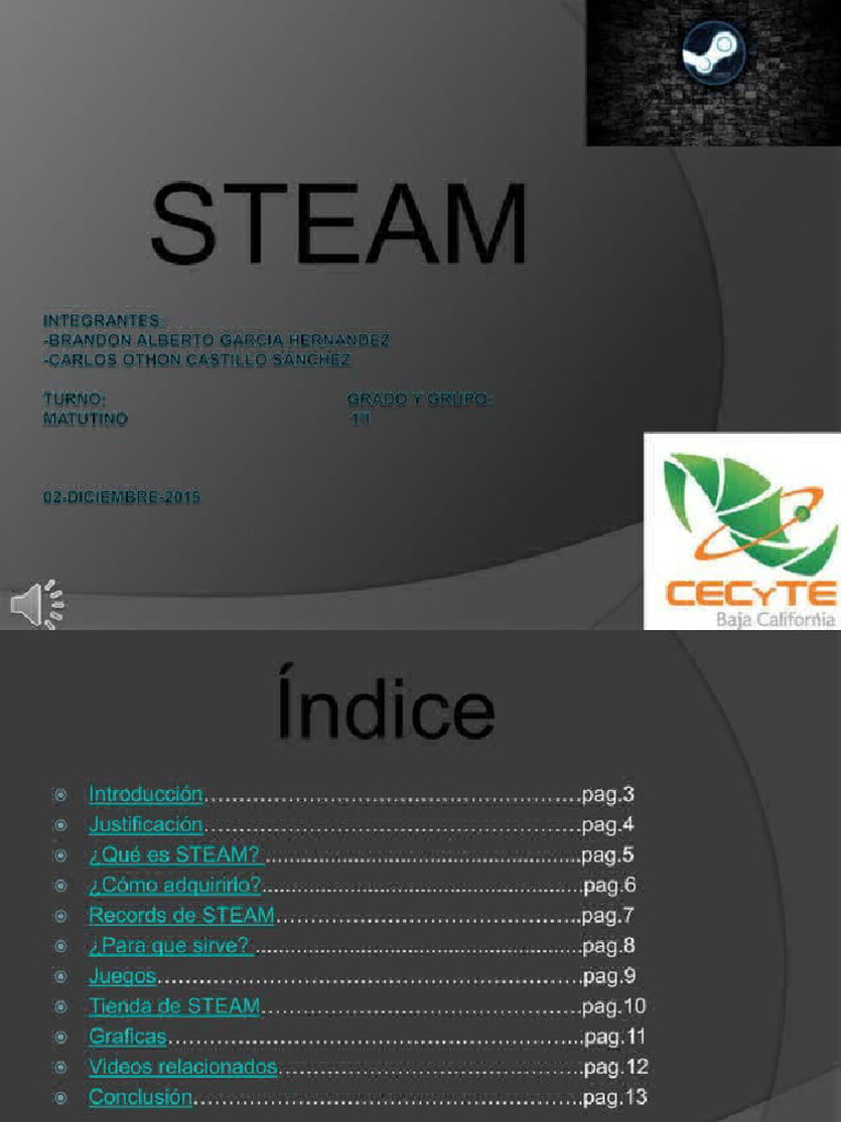Steam | PDF