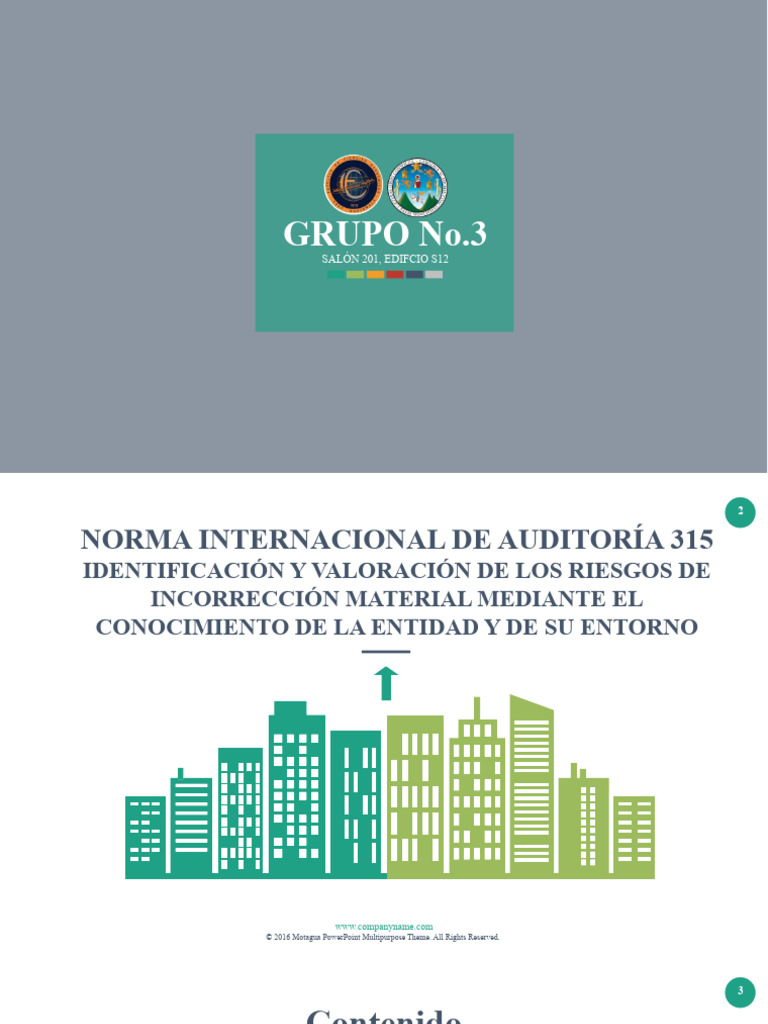 G03-Nia 315 | PDF | Auditoría | Contralor