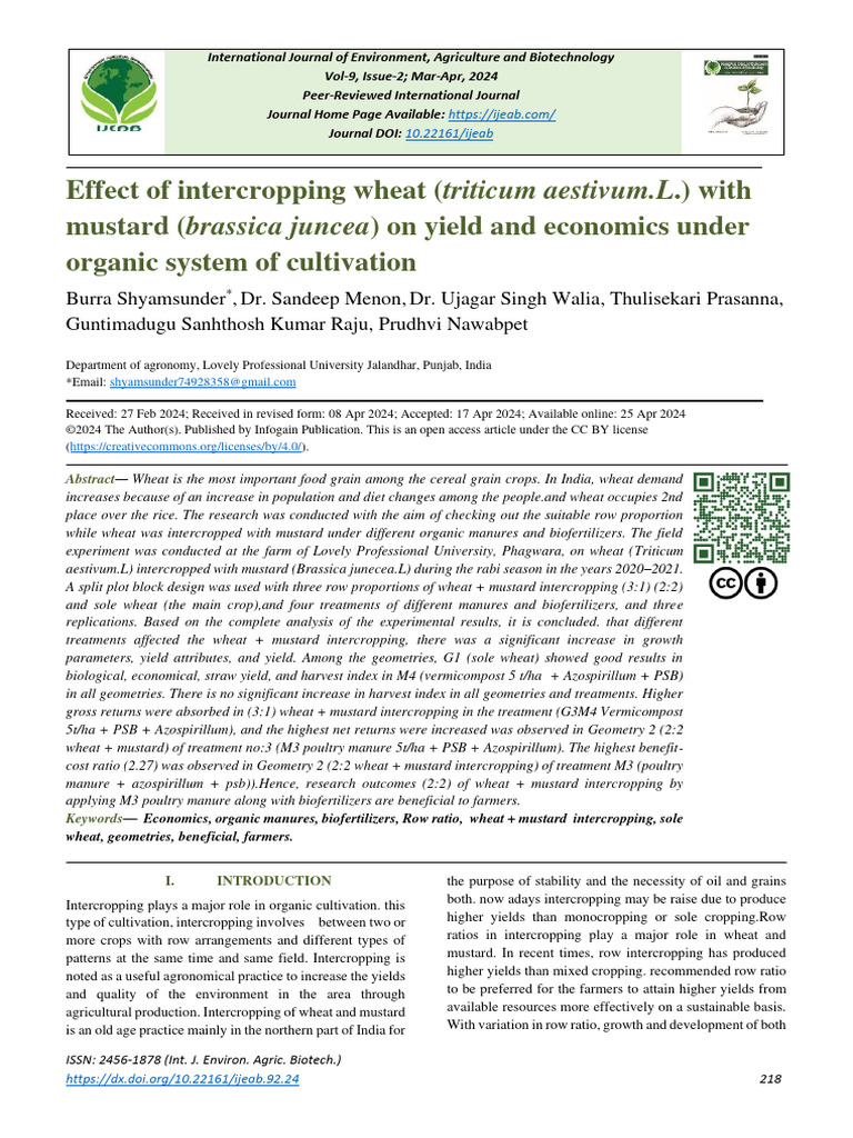 Wheat-Mustard Intercropping Yield Study | PDF | Agriculture | Wheat