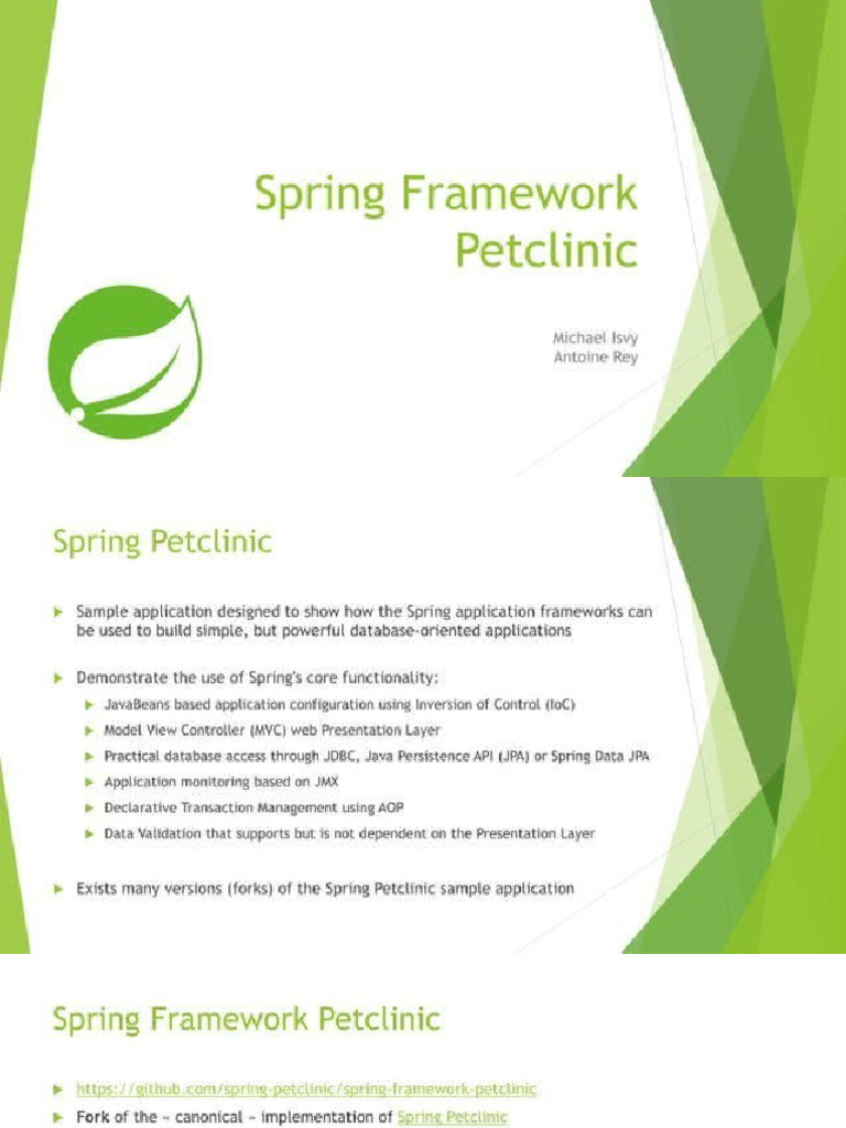 Petclinic SpringFramework | PDF