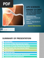 Grade 12 Life Science Human Reproduction Notes | PDF | Menstrual Cycle ...
