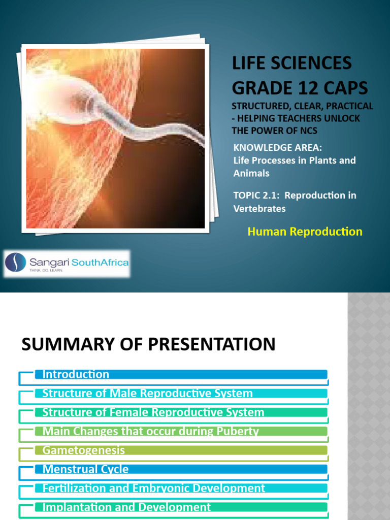 PP5. Human Reproduction | PDF | Menstrual Cycle | Sexual Reproduction