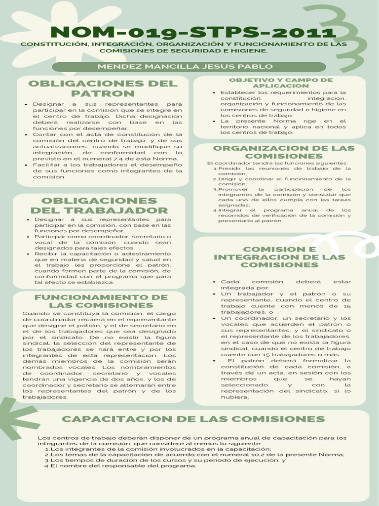 Nom 019 | PDF | Gobierno