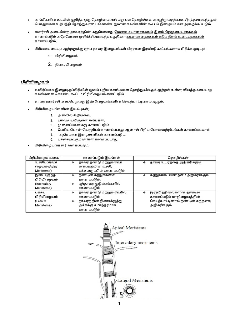 Grade 11 Lesson 1part 1 | PDF