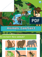 Year 4 Amazing Animals Activities | PDF | Tiger | Tyrannosaurus