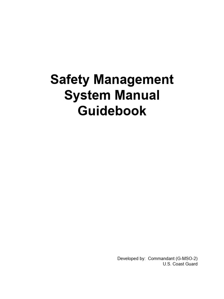 SMS Guide | PDF | Audit | Safety