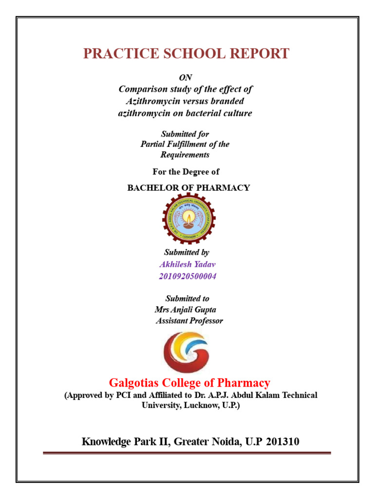 Formats - For - Practice - School - Report - 03 (1) (1) 45 | PDF