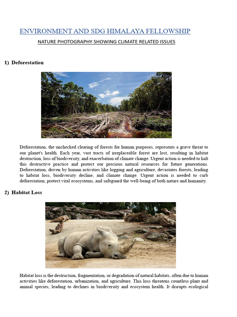 Environment And Sdg Himalaya Fellowship Pdf Habitat Destruction
