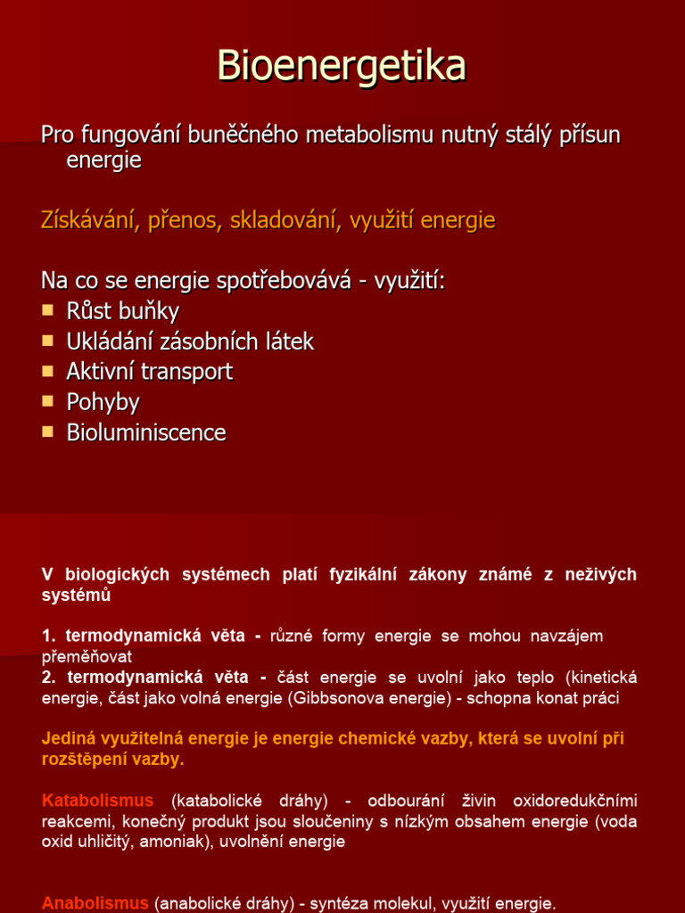 Bioenergetika | PDF