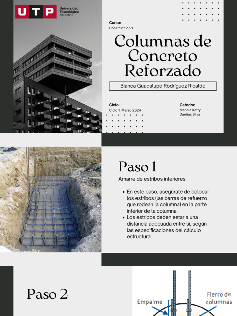 Proceso de Construcción de Columnas Reforzadas | PDF | Arte