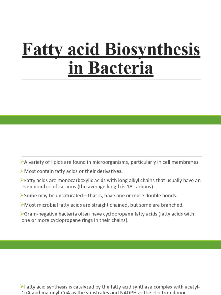 Fatty Acid Biosynthesis in Bacteria | PDF | Biosynthesis | Fatty Acid