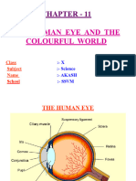 Human Eye and Light Refraction Explained | PDF | Eye | Human Eye