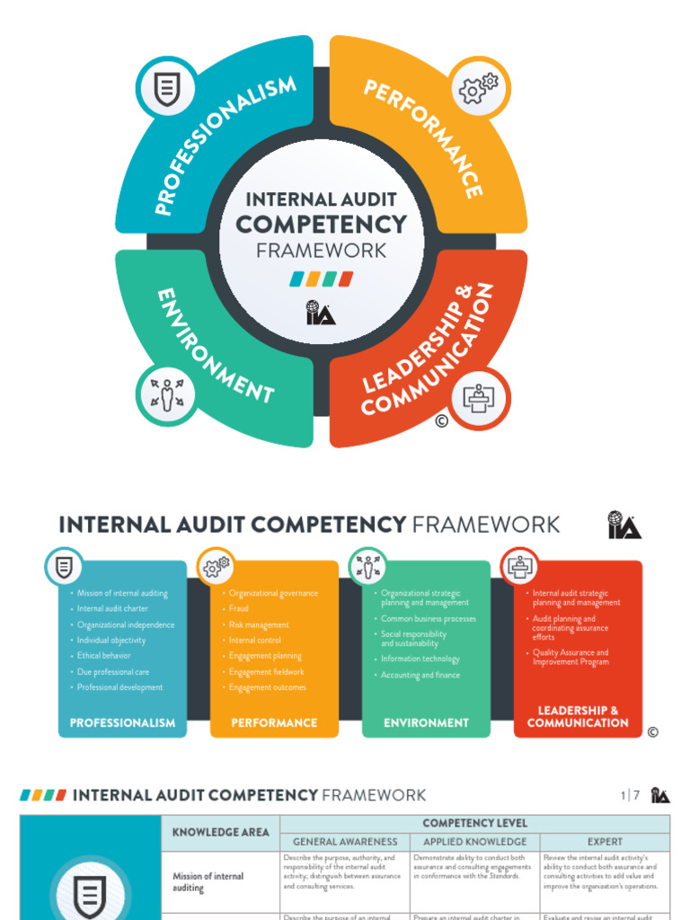 Competency Framework | PDF | Internal Audit | Audit