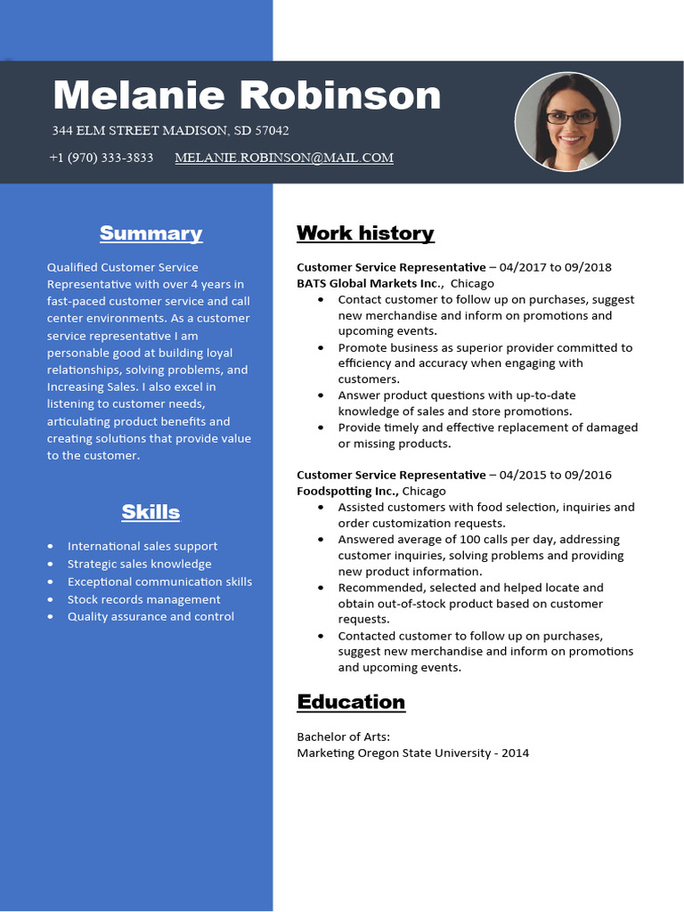 Cv Template 0005 | PDF | Economies | Business Economics