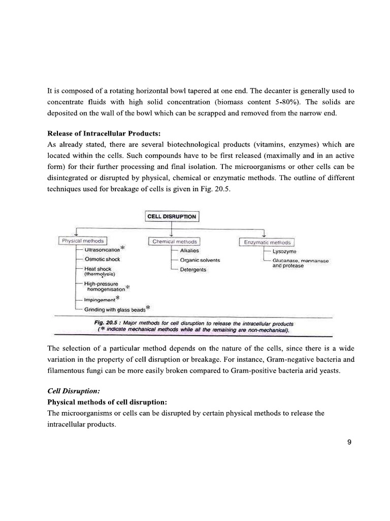Cell Disruption (1) | PDF