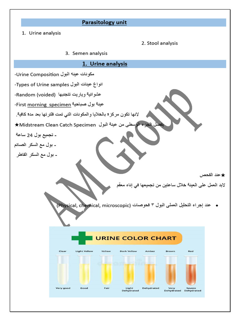 Urine Analysis Lec (1) - 1 | PDF