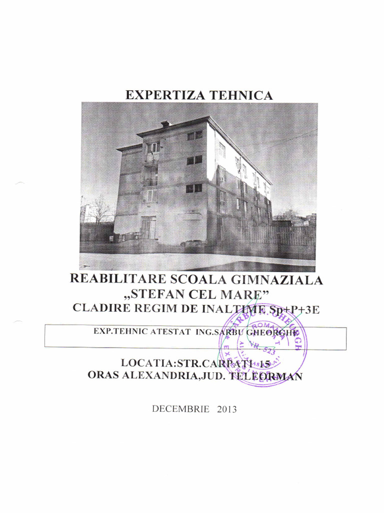 Raport de Expertiza Tehnica | PDF