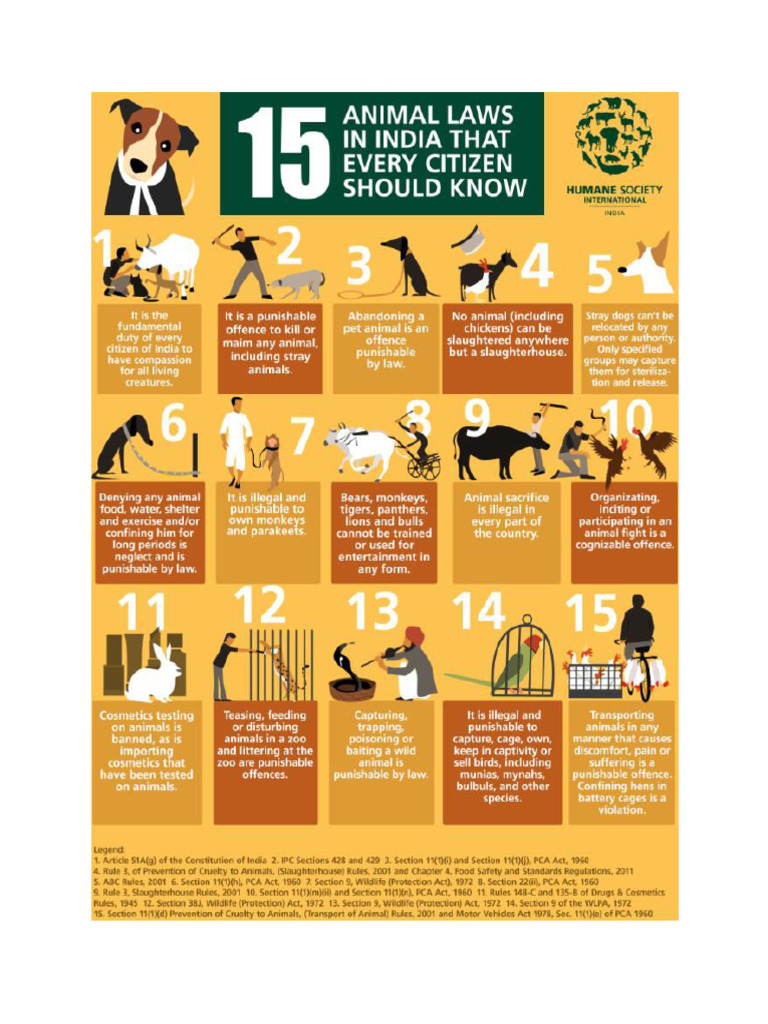 15 Animal Rights in India That Every Citizen Should Know | PDF ...