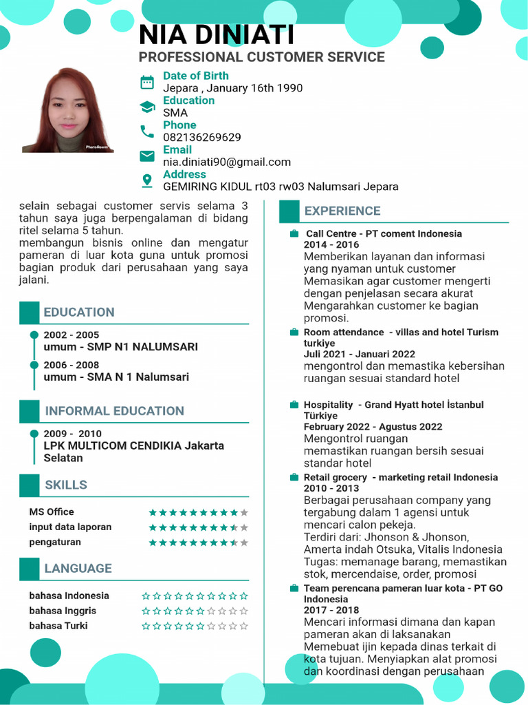 CV Nia Diniati | PDF