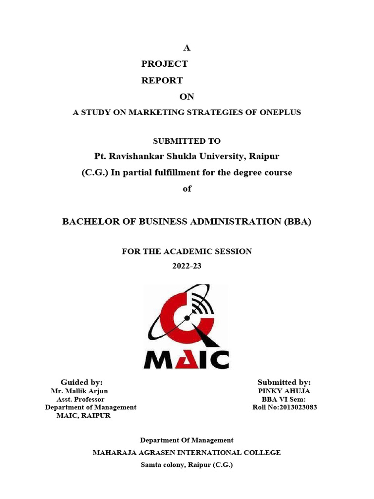 Hshsjs | PDF | Strategic Management | Marketing